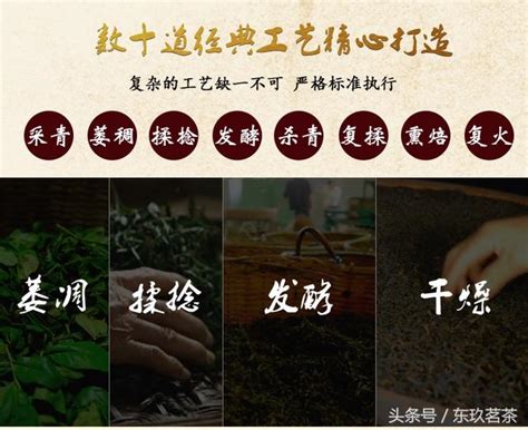 茶的香型9松煙香型代表茶正山小種 每日頭條
