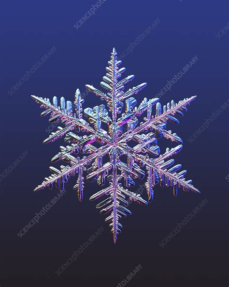 Stellar Dendrite Snowflake