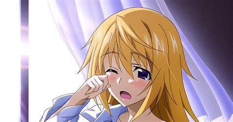 シャルロット・デュノア シャルロット「彼女編」 Ai新人のイラスト Pixiv