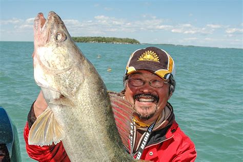 Detroit River Monster Walleyes MidWest Outdoors