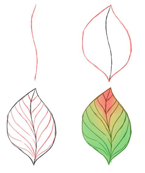 Как нарисовать листья карандашом 5 вариантов Lessdraw
