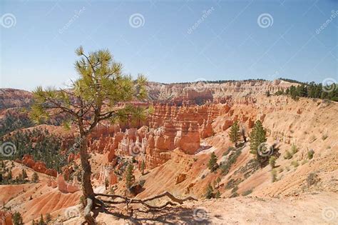 Bryce峡谷全景 库存照片 图片 包括有 公园 布莱斯 外缘 旅行 地标 不祥之物 室外 12412202