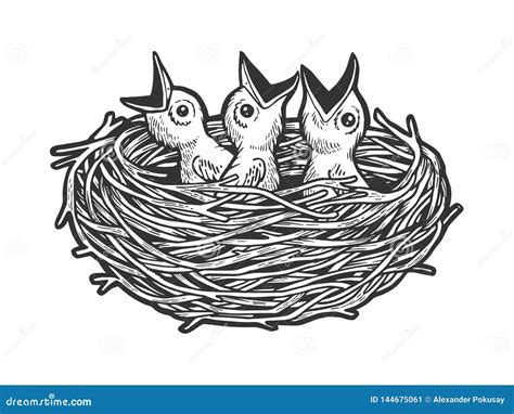 Nestling Bird In Nest Sketch Engraving Vector Stock Vector