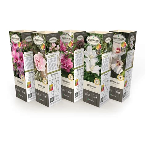 Hibiscus Assortment Retail Case Pack Degroot Hibiscus Assortment Retail Case Pack Degroot