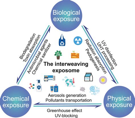 Interweaving Biological Chemical And Physical Exposomes Interactions Download Scientific