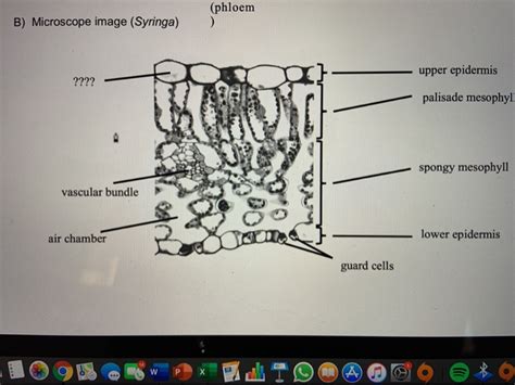 Solved I Am Given A Picture And I Have To Label It I Have Chegg