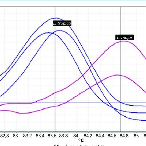 Derivative Melt Curve Analysis Of Its2 Gene In Different Species Of