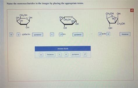Solved Name The Monosaccharides In The Images By Placing The Chegg Com