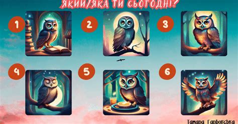 Криголам Який яка ти сьогодні Різне
