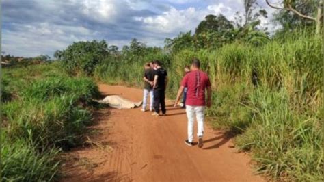 Homem é degolado e morto cerca de 20 facadas CGN O maior portal