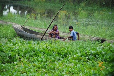 Gram Bangla Bangladesh Photo Gallery Best Wallpaper Galery