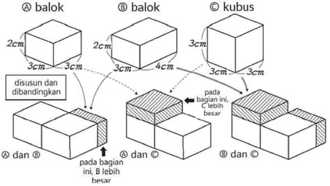 Kunci Jawaban Matematika Kelas 5 Volume 1 Halaman 88 89 Kurikulum Merdeka Ayo Bandingkan Ukuran