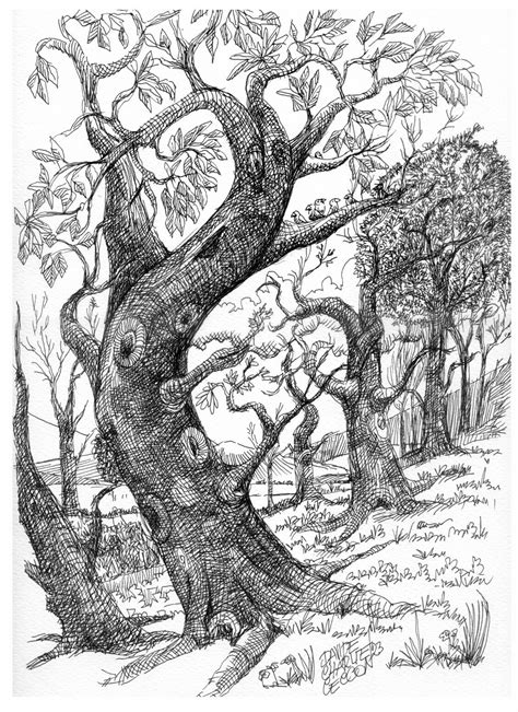 Vicenza Davide Charlie Ceccon Alberi Mostra Disegno In Veneto
