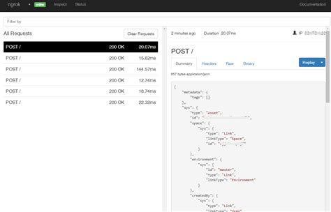 Contentful Webhooks Ngrok Documentation