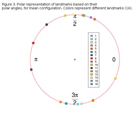 Simple Angles And Nice Plots Creative Morphometrics