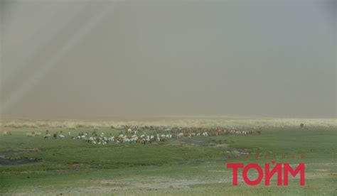 Монголын уур амьсгалын өөрчлөлт ба хоол хүнс