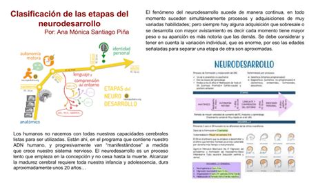 Etapas Del Neurodesarrollo Clasificación Y Hitos Clave