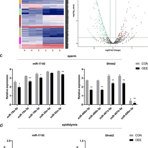 The Alteration Of Sperm MiRNA Profile A Heat Map Of Sperm MiRNAs