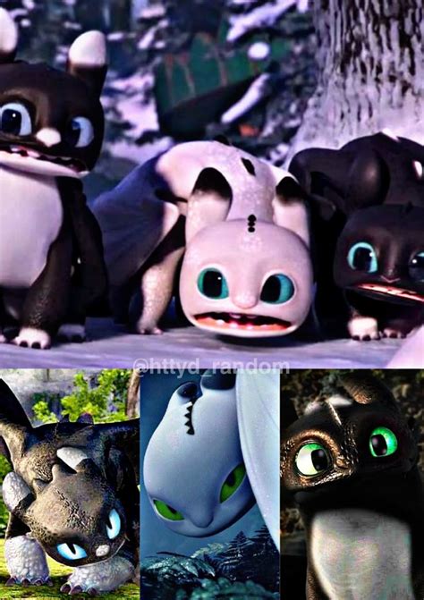 Toothless Toothless Toothless Toothless Toothless Toothless Toothless