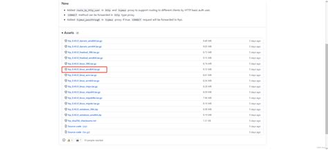 frp内网穿透教程 frp下载 CSDN博客