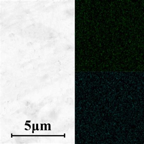 sem micrographs and eds element maps of gdtbhoer download scientific