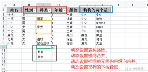 java导出excel通用工具——第二篇：使用easyexcel导出excel的多种情况的例子介绍 素素~的博客 csdn博客