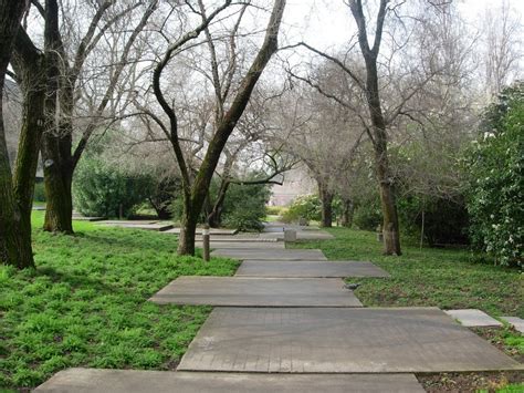 Recorte Pelo Picotado Parque De Santa Gertrudes