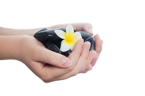 Black Massage Stones And Tropical Flower In Beautiful Woman Hands With