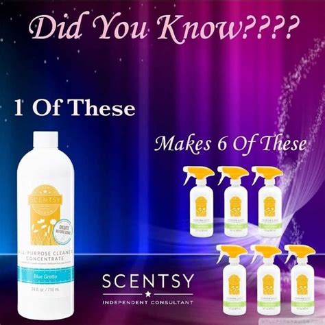 Scentsy All Purpose Cleaner Scentsy Scentsy Consultant Ideas
