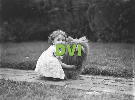 DVI Meaning Slang Org