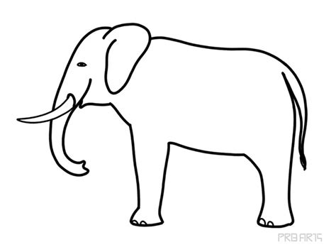 Elephant Standing In The Side View Drawing Tutorial PRB ARTS