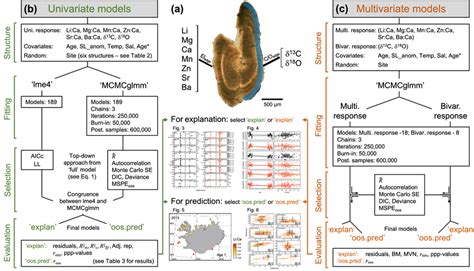 Schematic Of The Otolith Analysis And Modelling Approach A Age 2