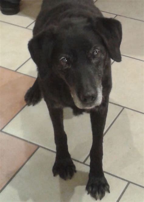 Meg ← Upton Bishop