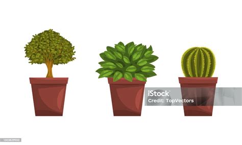 다른 집 식물의 세트 인테리어 홈 또는 사무실 장식 평면 벡터 일러스트에 대한 녹색 화분 식물 0명에 대한 스톡 벡터 아트 및