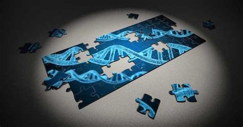 Top Stem Cell Research Pros And Cons BioExplorer Net