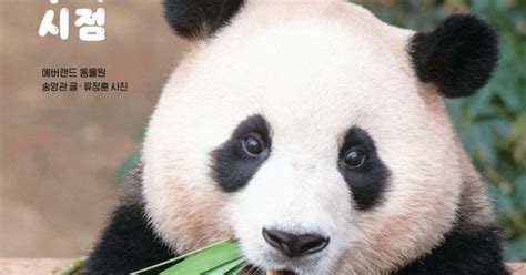 푸바오 일상 포착 전지적 푸바오 시점 베스트셀러 정상 올라