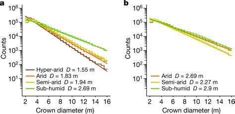 Distribution Of Tree Crown Sizes A B Histograms Bin Width 0 5 M