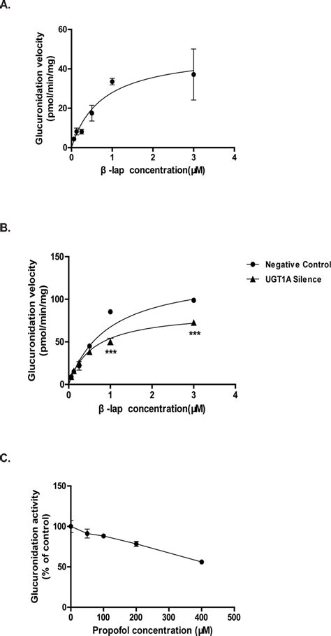 Glucuronidation Of β Lap In Ht29 Cell S9 Fractions Ht29 Cells S9 Were