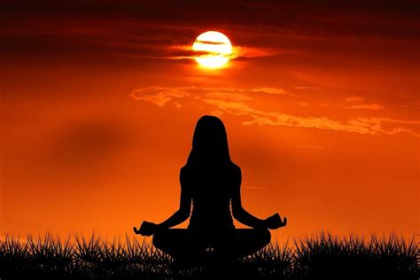 International Yoga Day 2023 आज है अंतरराष्ट्रीय योग दिवस पढ़िए वो