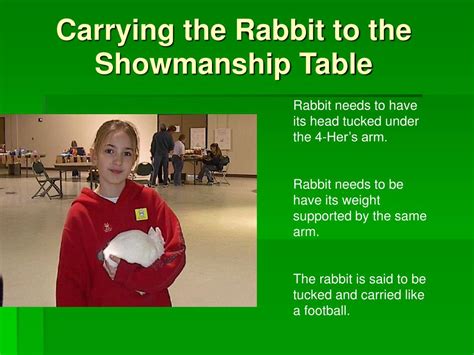 Ppt Basic 4 H Rabbit Showmanship Powerpoint Presentation Free