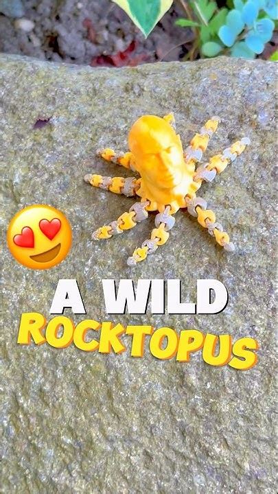 I Printed The Rock 😂 Therock 3dprinting 3dprint Shorts Youtube