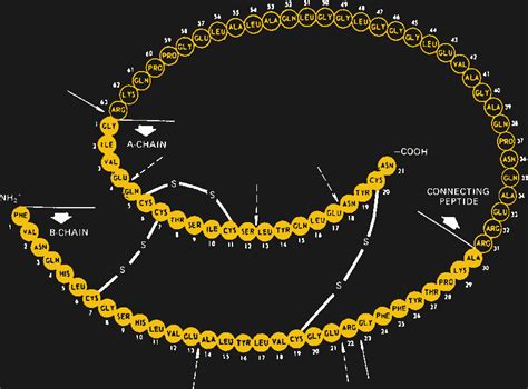Open Source Insulin Biohackers Aiming For Distributed Production Hackaday