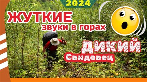 ДЕБРИ 🤪 странные АРТЕФАКТЫ 🤔 и МЕХАНИЗМУС 🤖 Youtube