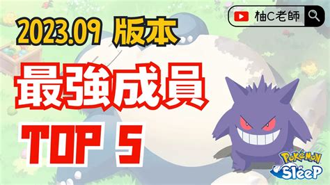 最强宝可梦 Top5！｜全岛屿篇【【pokemon Sleep 宝可梦睡觉】 哔哩哔哩