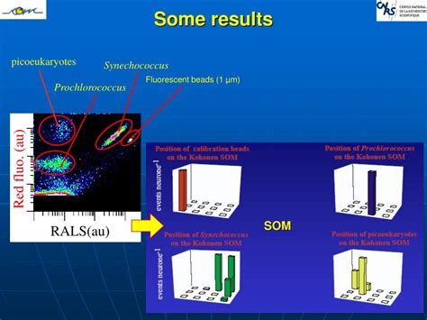 Ppt Flow Cytometry Data Handling And Analysis Powerpoint Presentation Id221636