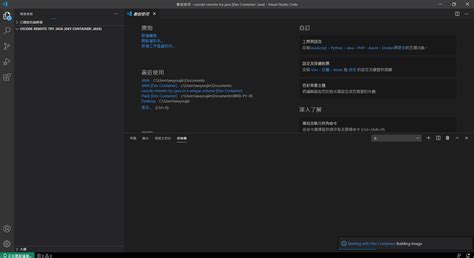 出錯 Issue microsoft vscode remote try java GitHub