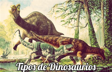 【tipos De Dinosaurios】 La Clasificación De Dinousaurios Más Completa