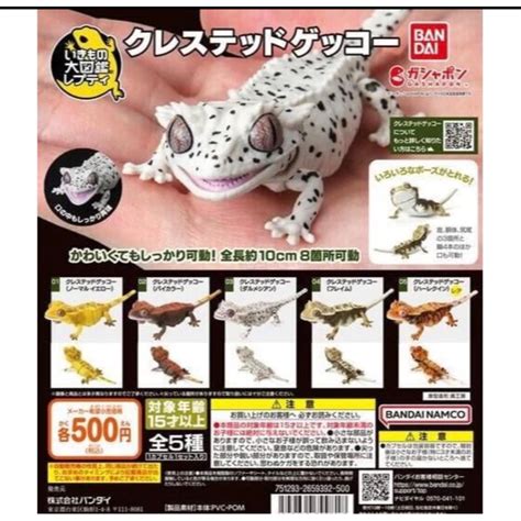歡慶聖誕 優惠 全新 現貨 萬代 生物大圖鑑repti 睫角守宮 蝦皮購物
