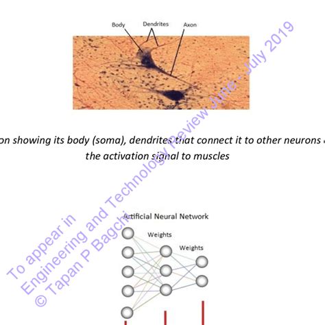 The Input Hidden Nodes Output Architecture Of A Typical Ann Download