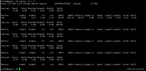 性能分析与调优 Linux 磁盘io 观测工具linux查看io性能 Csdn博客